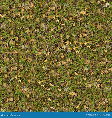 Grass Leaf Texture