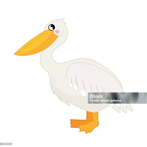 만화 귀여운 펠리컨의 벡터 일러스트 레이 션 가금류에 대한 스톡 벡터 아트 및 기타 이미지 가금류 귀여운 깃털 Istock