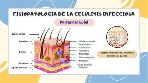 Celulitis Infecciosa Elena Paucar Udocz