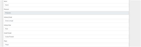 Angular Ngmodel Forms Validation Stack Overflow