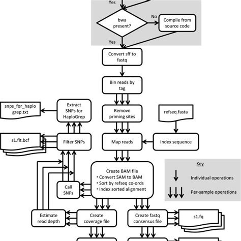 Steps In The Bioinformatics Pipeline The Pipeline Automatically Download Scientific Diagram