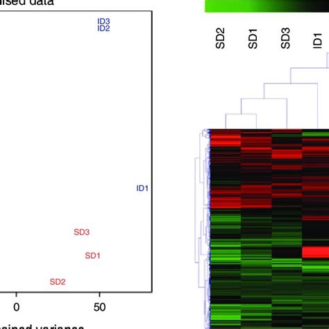 Unsupervised Clustering Analysis Of Differentially Expressed Genes With