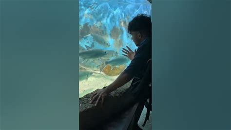 උබලටත් ඉන්නවද මෙහෙම රට හදන්න ගේමක් ගහන යාලුවෙක් 😂 Srilanka Viral