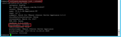 how to patch the vcenter server appliance via cli virtualhome blog