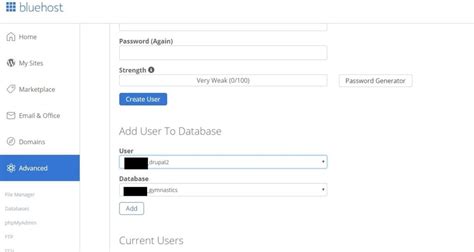 Moving A Website To Bluehost Website Tips And Tutorials