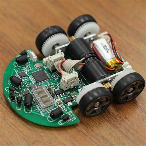 Micromouse Molly Maluhia Professional Portfolio