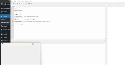 How To Set Tkinter Window At A Specific Position