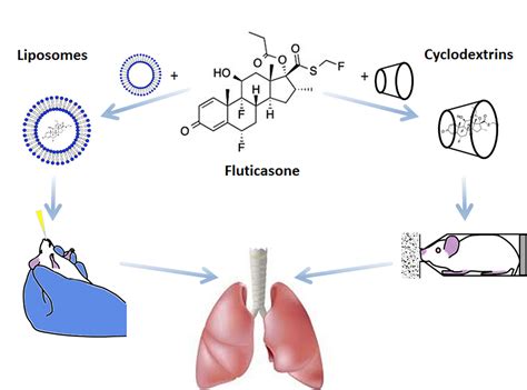 Pharmaceutics Free Full Text Pharmaceutical Benefits Of Fluticasone