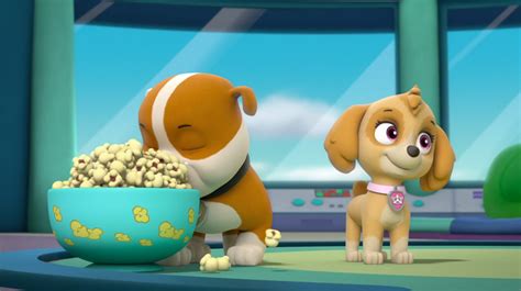 Paw Patrol 321b Scene 62 Rubble Skye Paw Patrol Photo 40078009