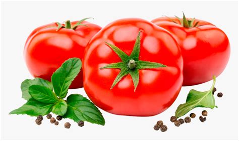 Light Ketchup HD Png Download Transparent Png Image PNGitem