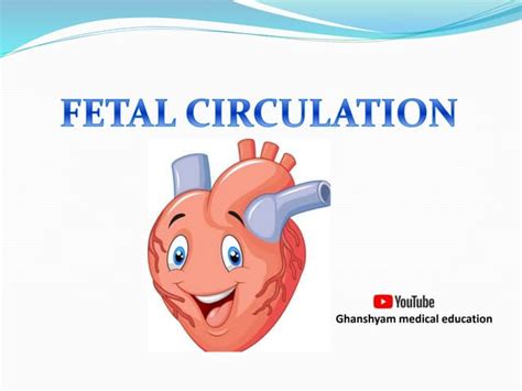 Fetal Circulation Pptx