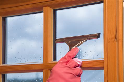 전문적으로 스 퀴 지와 분홍색 보호 장갑 세척 및 청소 창에 손을 이른 봄 창 흐린 하늘 배경에 청소 청소 창을 청소 합니다 가사 집안일에 대한 스톡 사진 및 기타 이미지