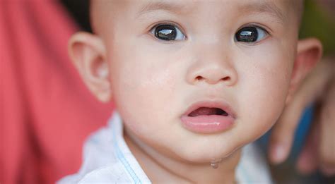 កូនហៀរទឹកមាត់ញឹកញាប់ មកពីម្ដាយញ៉ាំខ្ចងខ្ចៅក្នុងពេលមានផ្ទៃពោះ មាតា