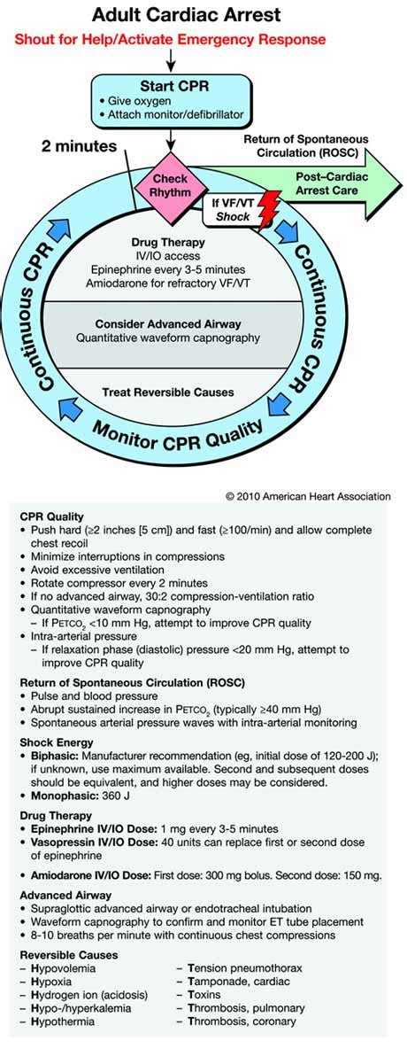 ACLS Guidelines 2015 Update Adult Cardiac Arrest