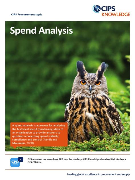 Spend Analysis Download Free Pdf Procurement Supply Chain