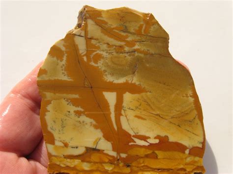 Owyhee Picture Jasper Rough Slab 71x61x57mm Owyhee Jasper Etsy