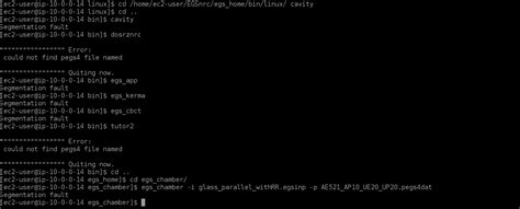 segmentation fault of egs chamber r egsnrc
