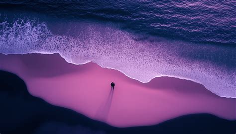 チャットボット