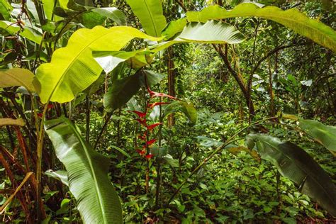 20 Facts About Resource Partitioning