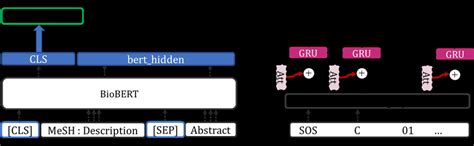 Architecture BioBERT MTL The Encoder Blue Creates A Representation