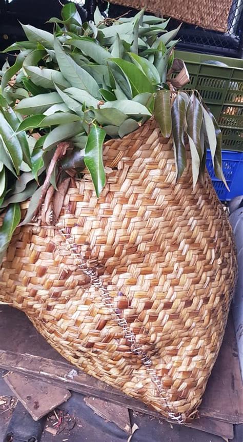 Grand Matin Grand Matin Added A New Photo