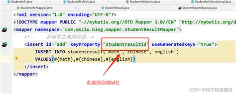 Mybatis的insert语句获取自增id的方法新增时如何拿到新增的id Csdn博客