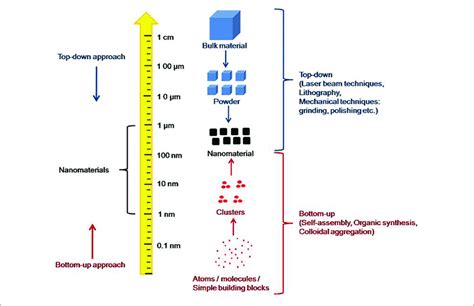 Top Down And Bottom Up Approaches Of Self Assembly Download
