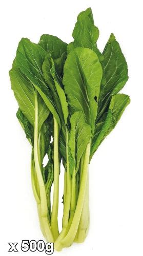 Choi Sum Yau Brothers And Co Limited