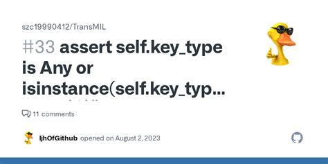 Assert Self Key Type Is Any Or Isinstance Self Key Type Type Issue Szc