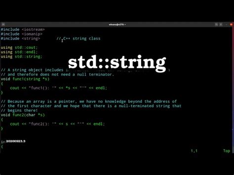 introduction to the std string class hng learn