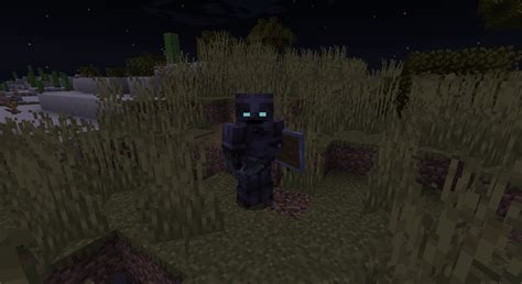 Forgotten Realm Java 119 Minecraft Server