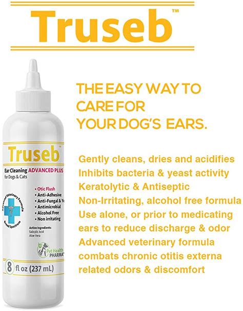 Continuous Compounding Definition India Dictionary