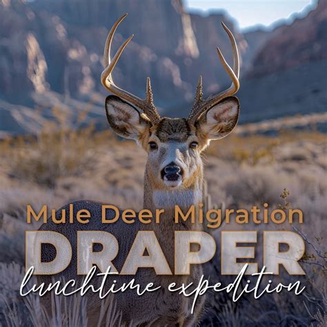 Mule Deer Migration Lecture Cody Journal