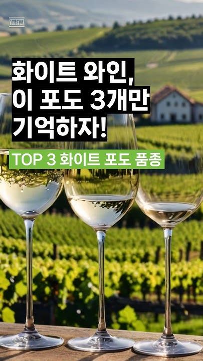 화이트 와인 초보를 위한 대표 포도 3가지 와린이 가이드 Youtube