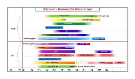 Understanding Adolescent Sexual Development Unraveling The Realities Of Teen Sexuality Animascorp