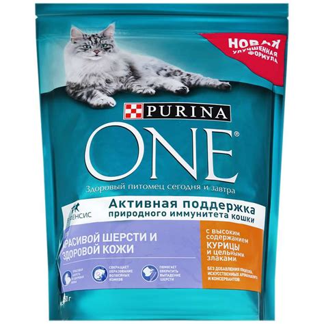 Лучшие корма для мейн кунов