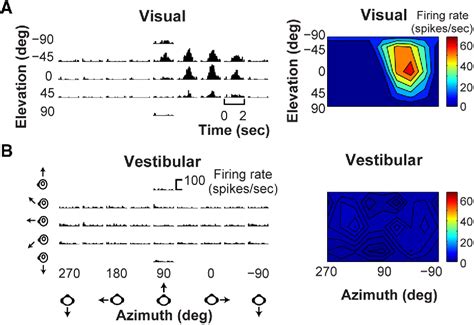 Figure 1 From Heading Tuning In Macaque Area V6 Semantic Scholar