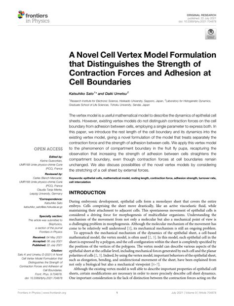 Pdf A Novel Cell Vertex Model Formulation That Distinguishes The