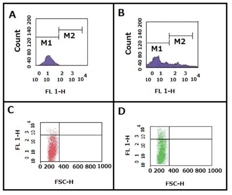A Single Parameter Histogram For Flow Cytometric Analysis Of Hcv E2