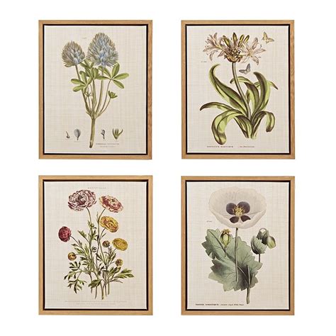 Botanical Framed Art Set Of 4 Botanical Wall Art Canvas Wall Art