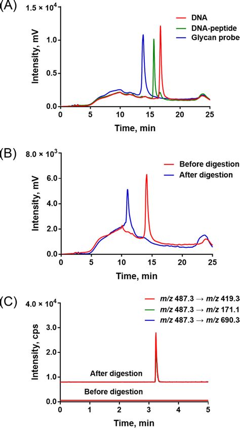 A Hplc Chromatograms Of The Dna Reactant The Dna−peptide