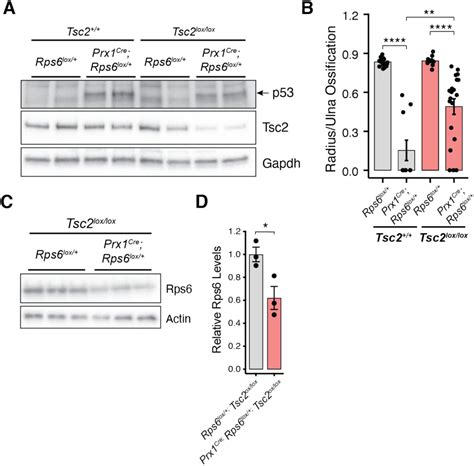 Gradient Fractionation System Brandel Inc Bioz