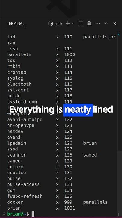 I Tried Column Command For 30 Days And My Productivity Skyrocketed Youtube