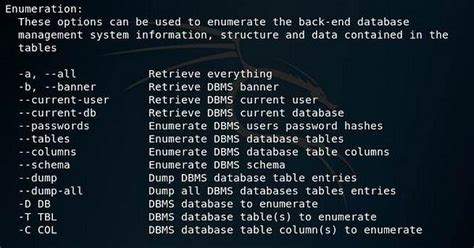 Neelamegha Kannan Subramanian On Linkedin How To Exploit Sql Injection