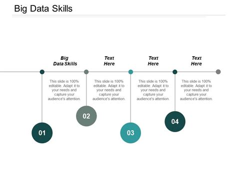 Big Data Skills Ppt Powerpoint Presentation Professional Gallery Cpb
