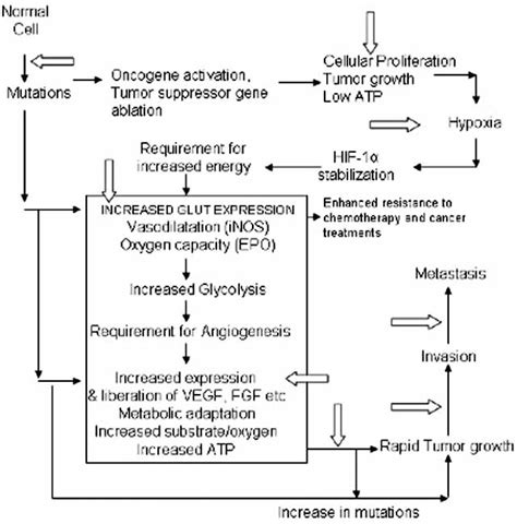 Cancer Progression In Sex Steroid Hormone Cancers Summary Of The