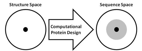 4 The Inverse Protein Folding Problem The Structure Space Specified Download Scientific