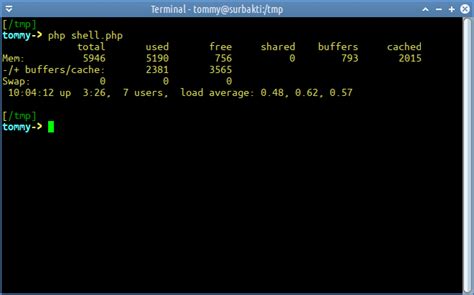 Menjalankan Cli Linux Dari Php Jaranguda