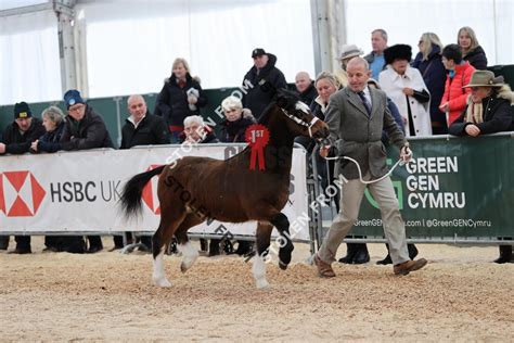 Se21276 2024 1st Class Images