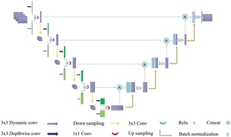 Diagram Of The Designed Dual Branch Unet Model Dark Green And Light Download Scientific